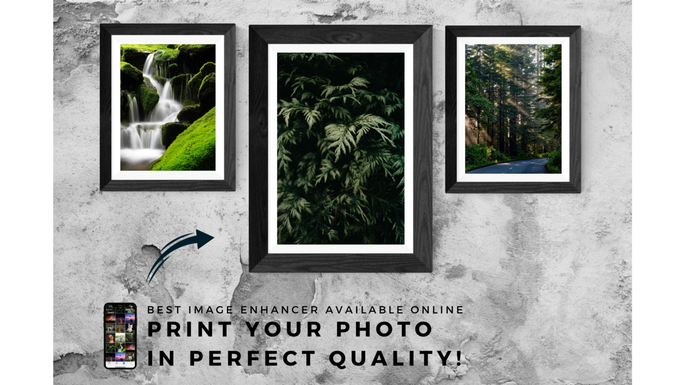 How To Increase A Small Photo image To A Perfect Print 
