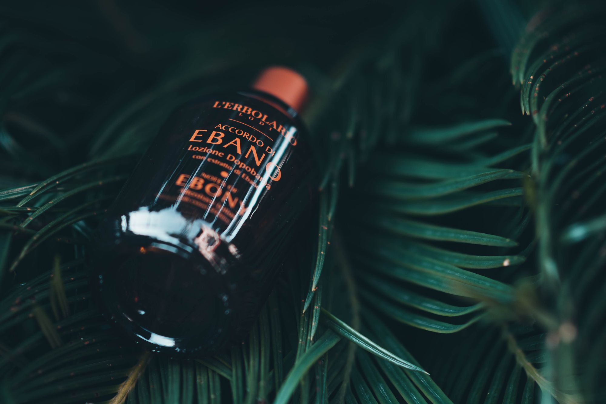 Revolutionize Your Product Images: The AI-Powered Image Resizing Tool ...