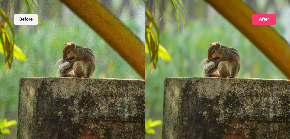 Deep-image.ai - The Best Application for Noise Reduction