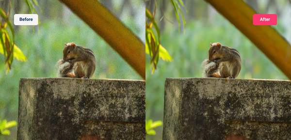 Deep-image.ai - The Best Application for Noise Reduction